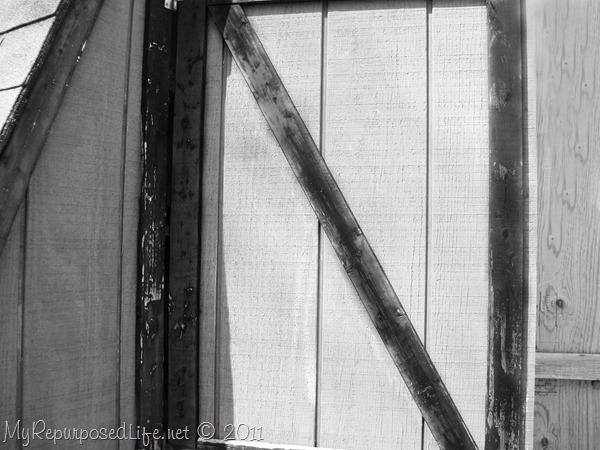 Letter N Photography